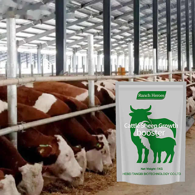 High Energy Feed Additive for Beef Sheep Cattle Fattening Rapid Weight ...