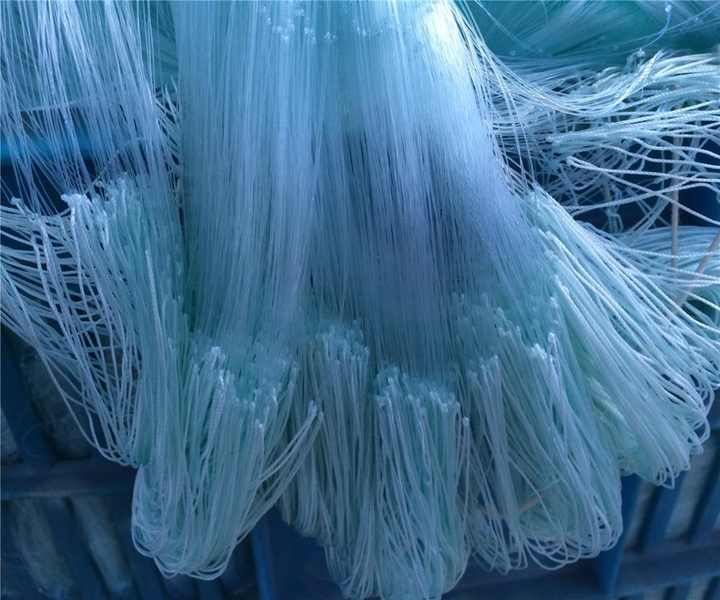 Golden Anchor Nylon Monofilament Fishing Nets - Competitive Price