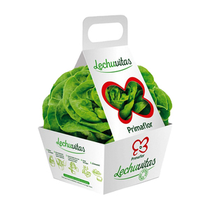 Versatile lettuce packaging box Items - Alibaba.com