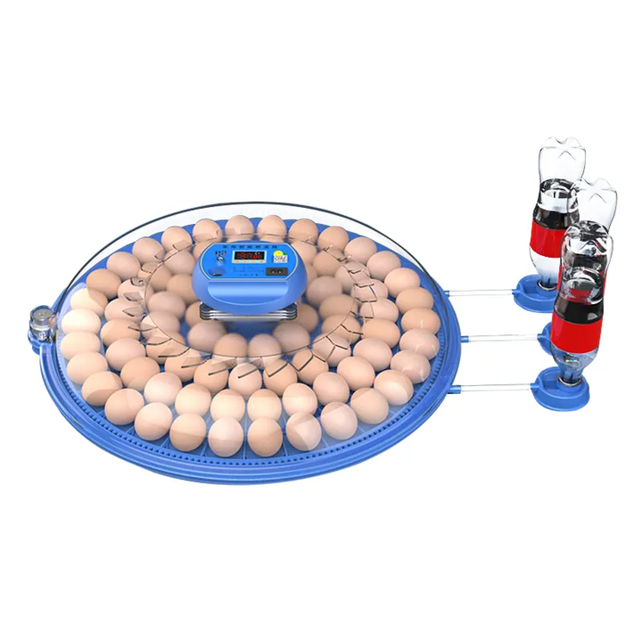 Home Use 80 Egg Incubator - Fully Automatic Hatching Machine