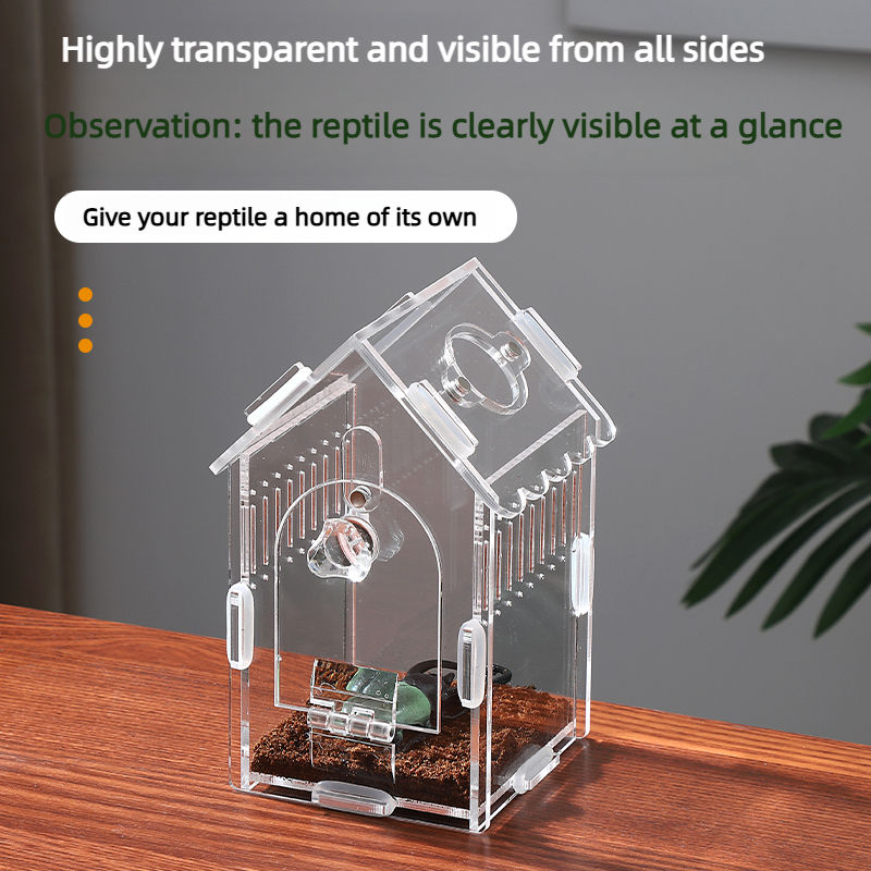 Acrylic Enclosure Jumping Spider Insect Terrarium for Small Tree ...