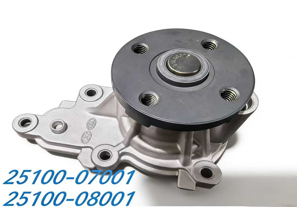 Auto Parts Water Pump 25100-07001 for Hyundai Kia 2510007001