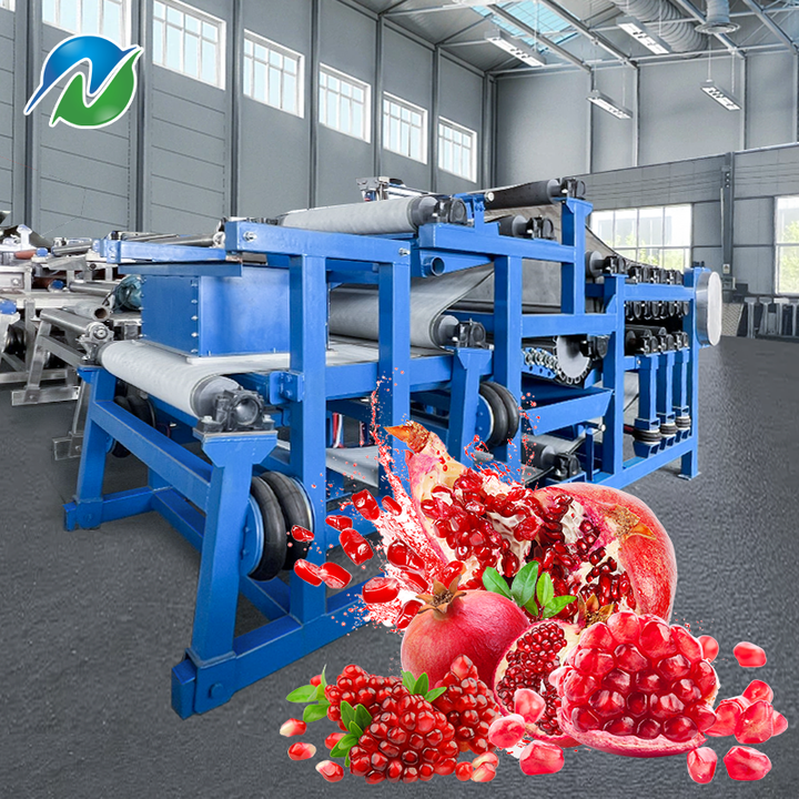 High-Output Industrial China Pomegranate Juice Extractor Machine 220V ...