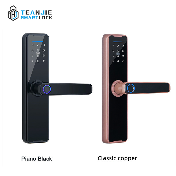 Wifi TUYA/TTLOCK App Control Fingerprint Lock Electronic Touch Keypad Keyless Entry Smart ...