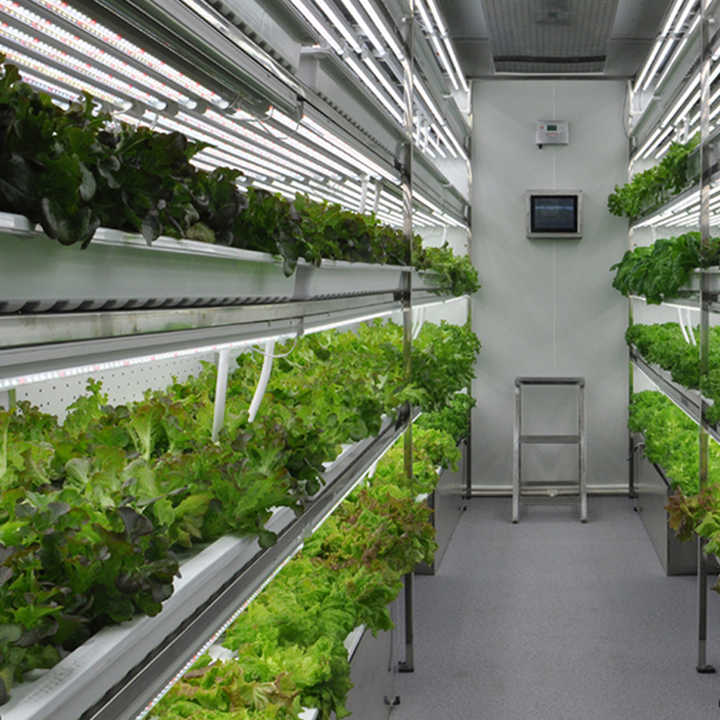 Indoor Planting System Hydroponics Vertical Multi-layer Planting Frame ...