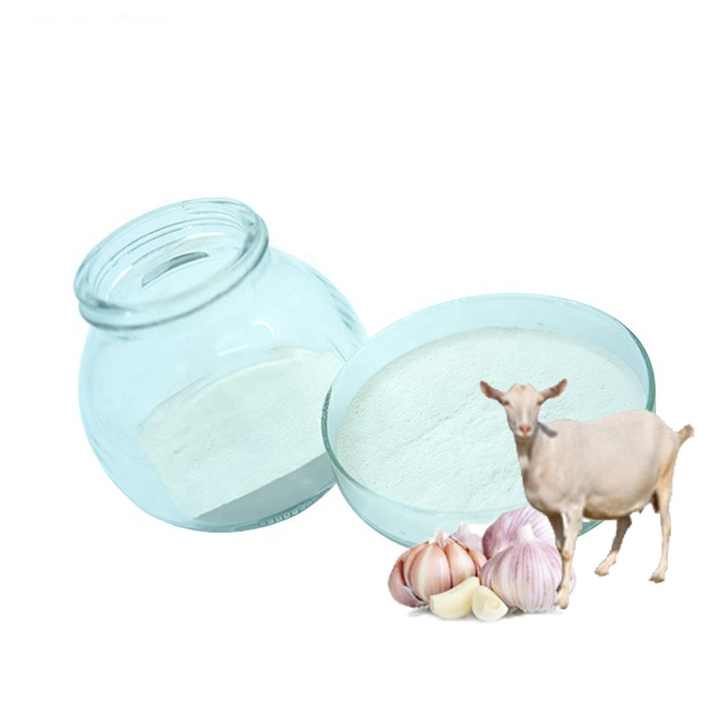 Dairy Cow Feed Ingredients - Bulk Garlic Powder for Cattle