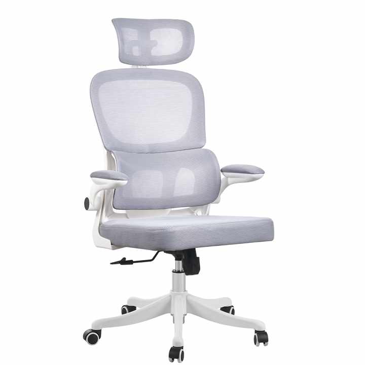 LiteStride Modern Design Mesh-Back Office Chair with 3D Lumbar Support ...