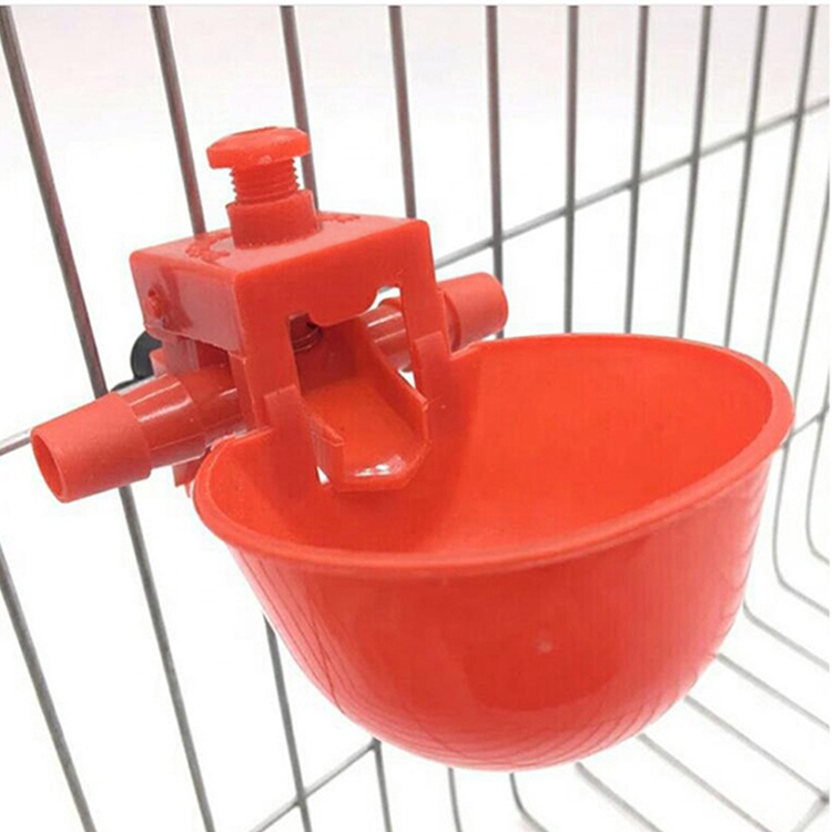 High Quality Pigeon Drinkers - Durable & Efficient Solutions