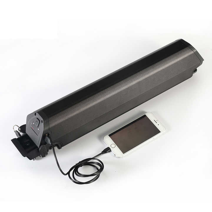 Reention Dorado 48V 13Ah Li-Ion Ebike Battery Pack for Electric Bikes ...