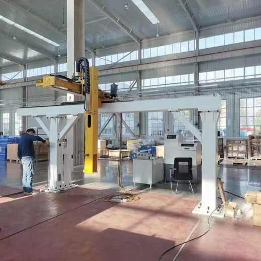 3 Axis Gantry Palletizer Cartesian Robot for Picking and Placing ...