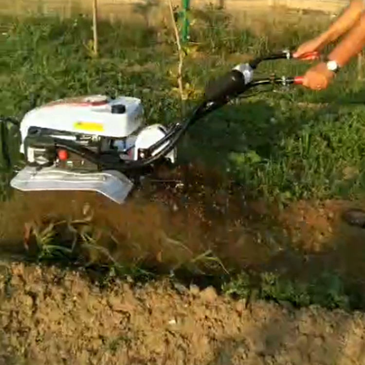 Dragon Horse 2026 Power Tiller Gasoline Engine 5.5HP High Productivity ...