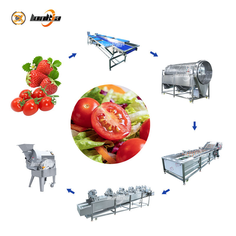Complete Fruit Vegetable Salad Line for Strawberry Tomato With Manual ...