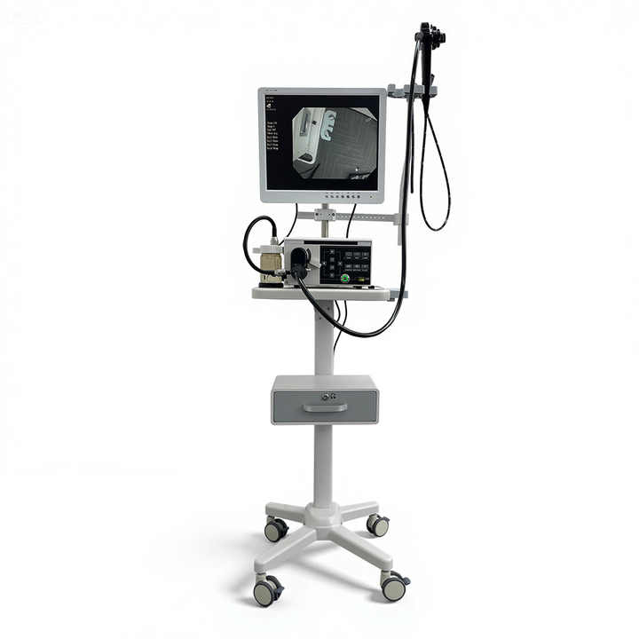Veterinary X Ray Machines 4K Veterinary Endoscopy System for Hospital ...