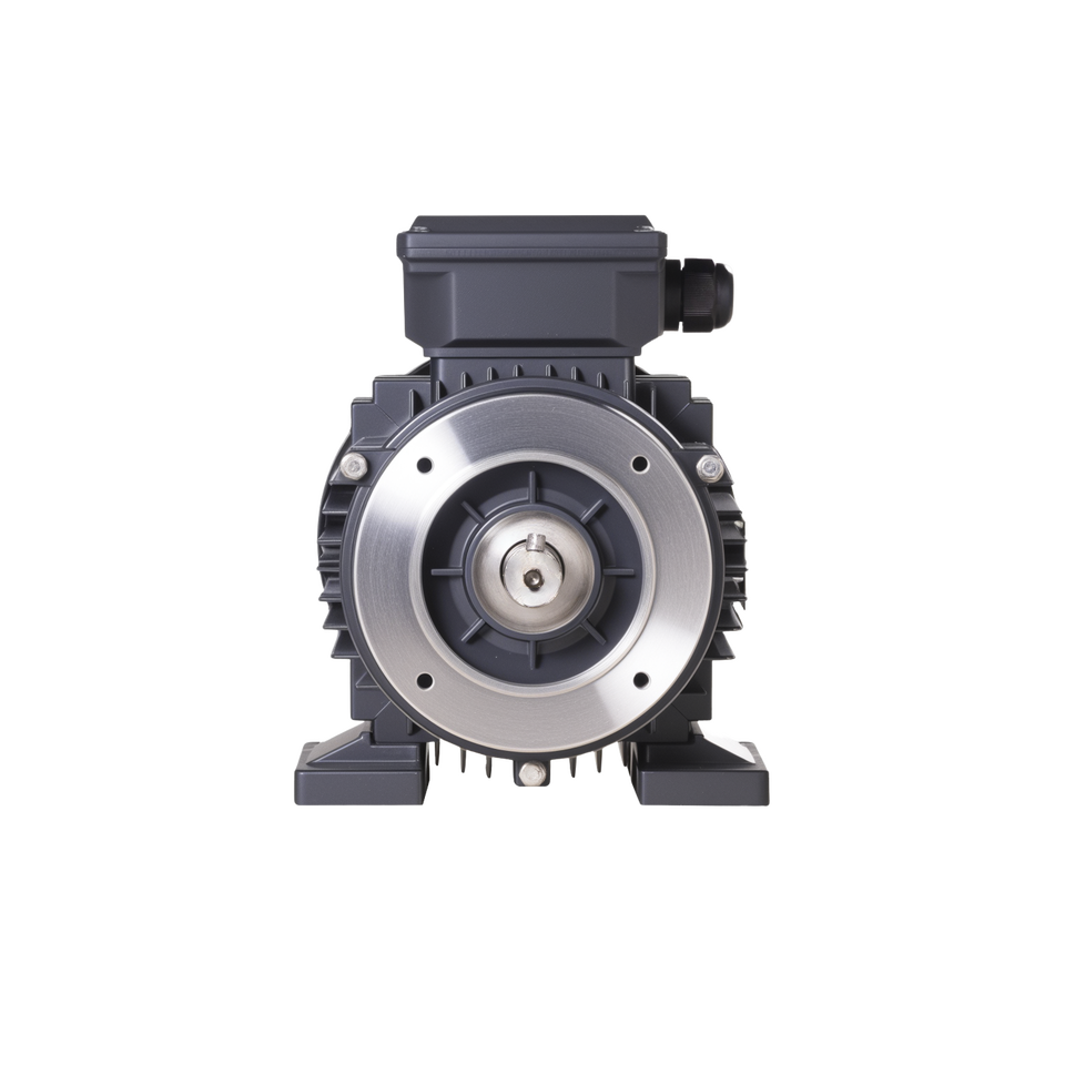 SHNISON High Efficiency Three-Phase Waterproof 22KW Asynchronous Motor ...