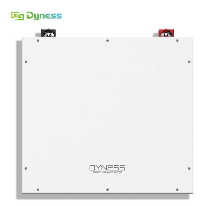 Dyness DL5.0C Battery - 6000 Cycles, 95% Dod for Energy Storage