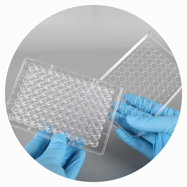 96 Well Disposable Plastic Cell Culture Plate - Buy Plastic Cell ...
