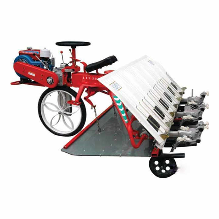 Small Hand-Operated Rice Planter - Double-Row Seedling Transplanter