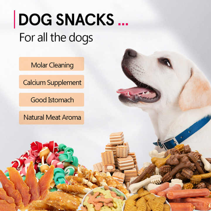 Pet Snack OEM Manufacturer Popular Protect Teeth High Protein 200g ...