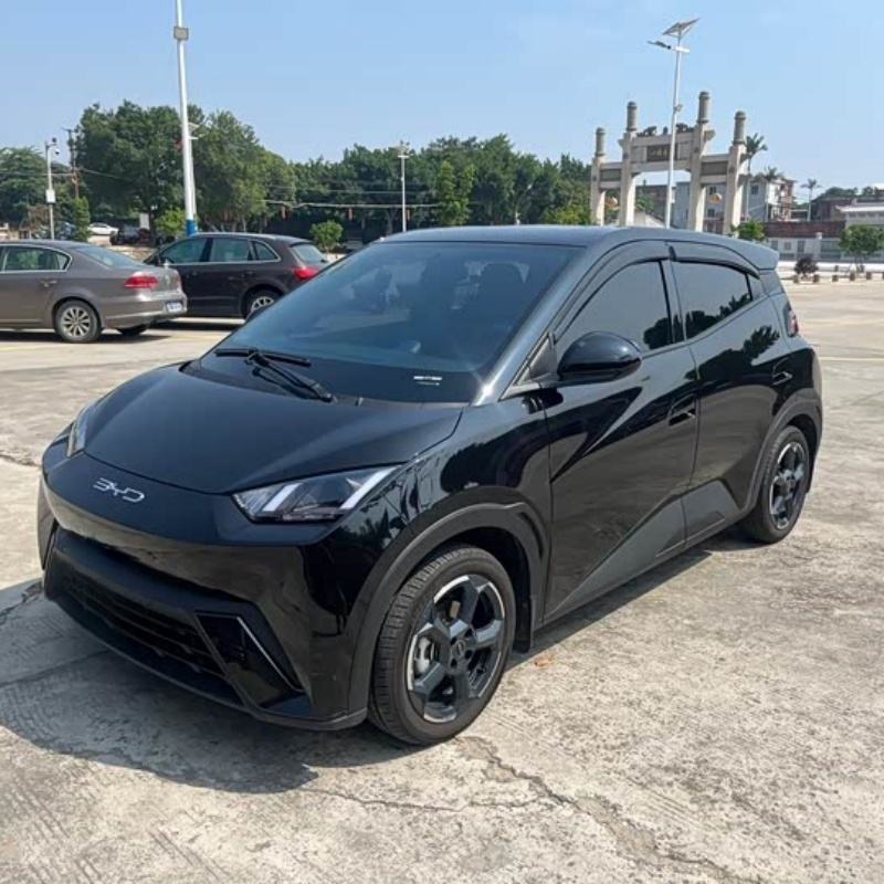 Sell Well Price Adults BYD Seagull 2023 Model - Free Edition Flight ...