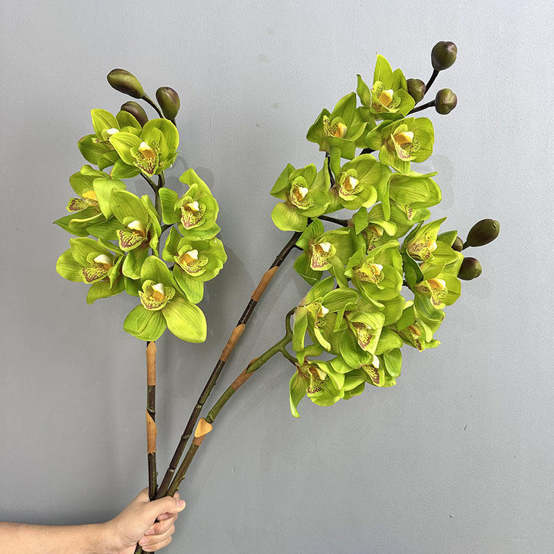 How to Choose Fresh Orchid Flowers: A Complete Buying Guide