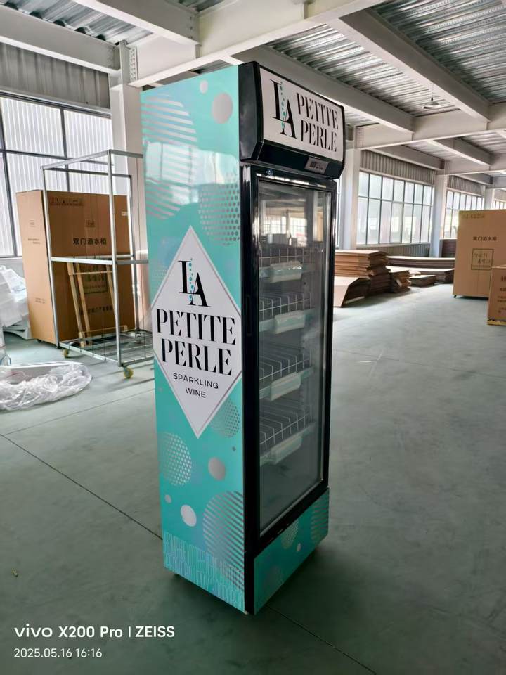 Double Door pepsi Fridge Frezzer Commercial Freezer 2 Doors Display ...