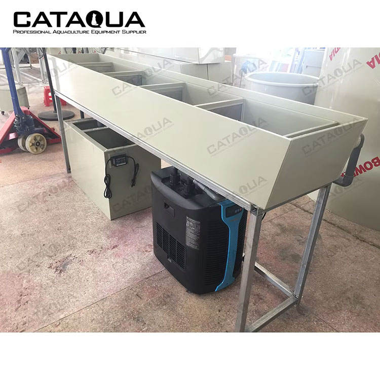Cutting-Edge PP Aquaculture Equipment Fish Hatchery Machine and Water ...