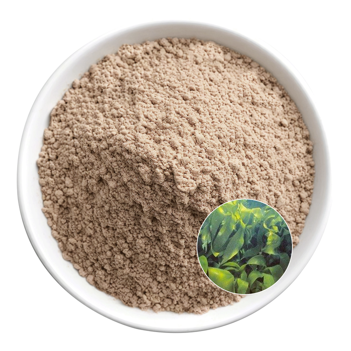 HPLC-Verified Fucoidan Herbal Extract Traceable to Wildcrafted Seaweed ...