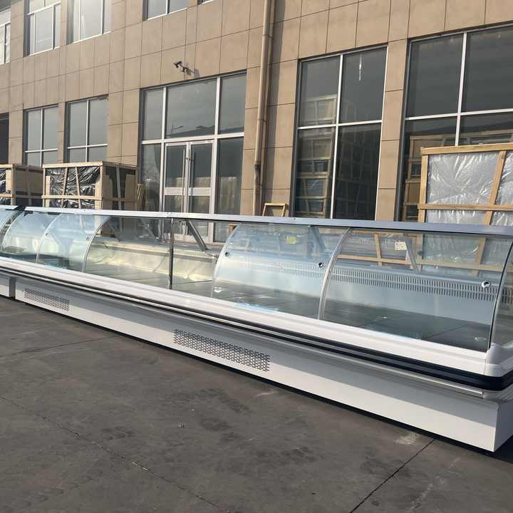 Commercial DELI Freezer Cooler Freezer Display Case Refrigerator Deli ...