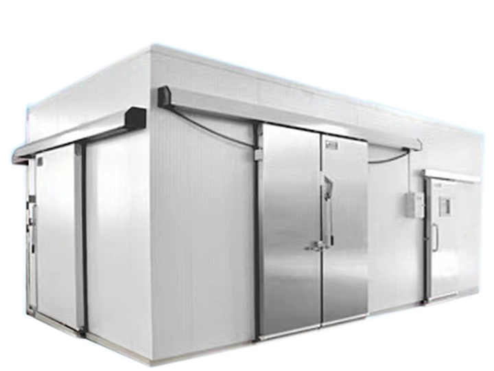 Portable Walk-in Freezer Storage Container Easy-to-Operate Cold Room ...
