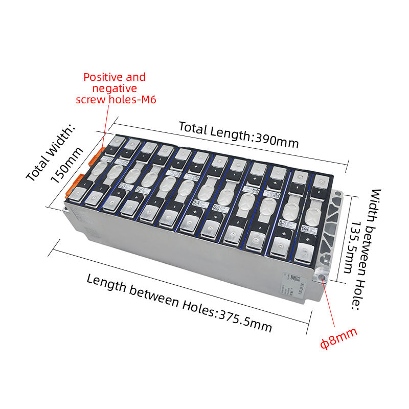CATL 12S1P 14S1P 50ah 53ah 55ah VDA Module for Evs & Motorcycles