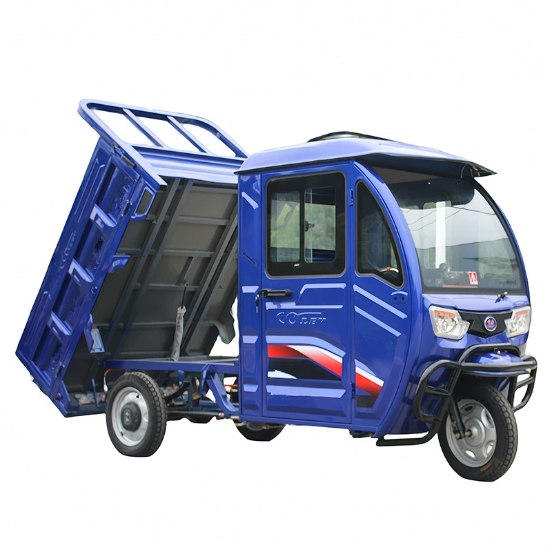 200cc 250cc Cargo Tricycle With Cabin Driving Room Three Wheel Closed ...