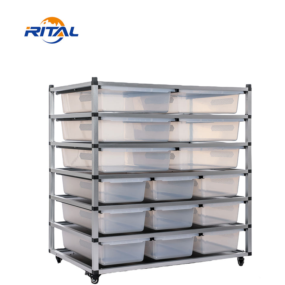 Best Selling Snake Reptile Breeding Racks - Durable & Safe