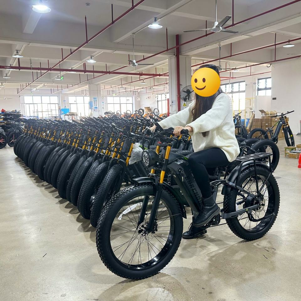 Dual Motor Electric Mountain Bike - BURCHDA RX80 48v20ah
