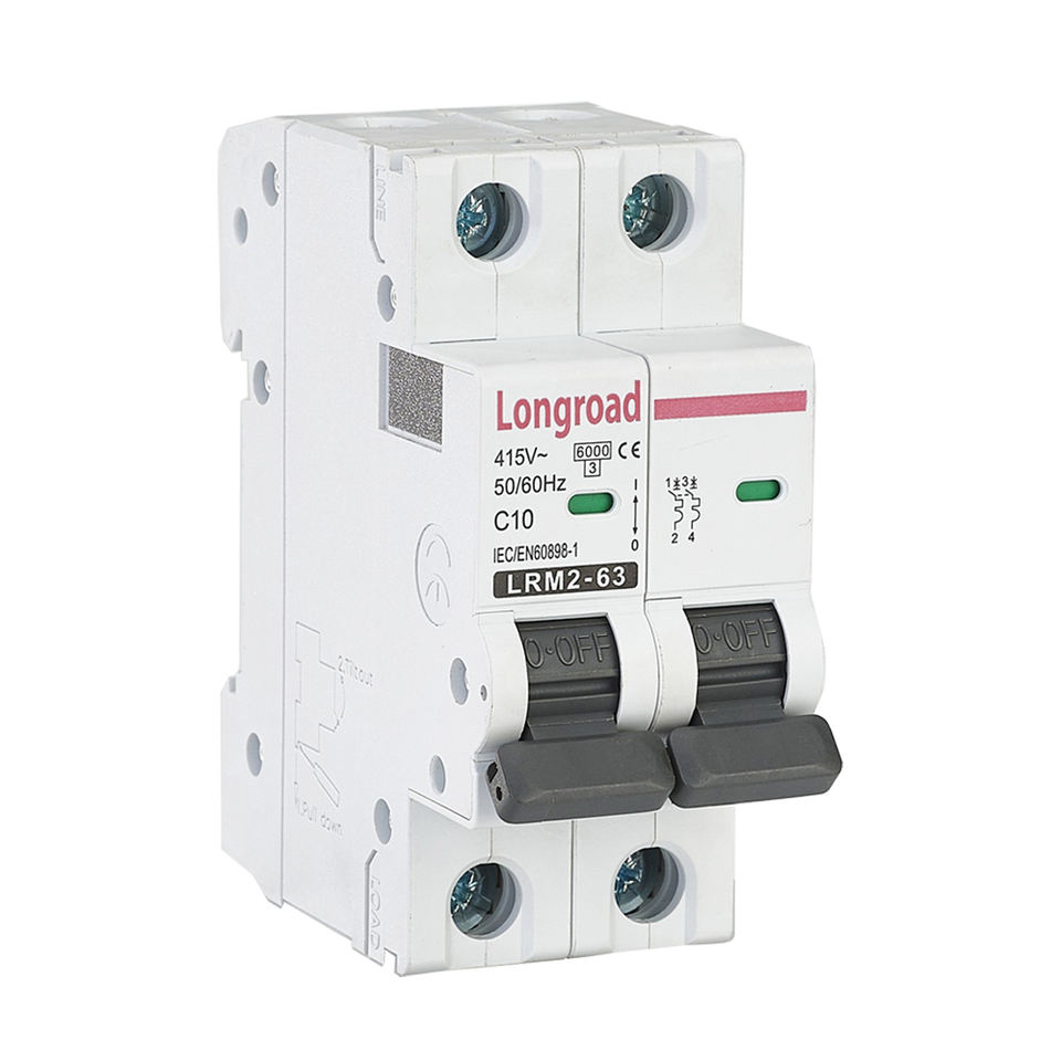MCB RCBO ELCB RCCB Mini Circuit Breaker 6A 16A 20A 25A 32A 40A 50A 63A ...