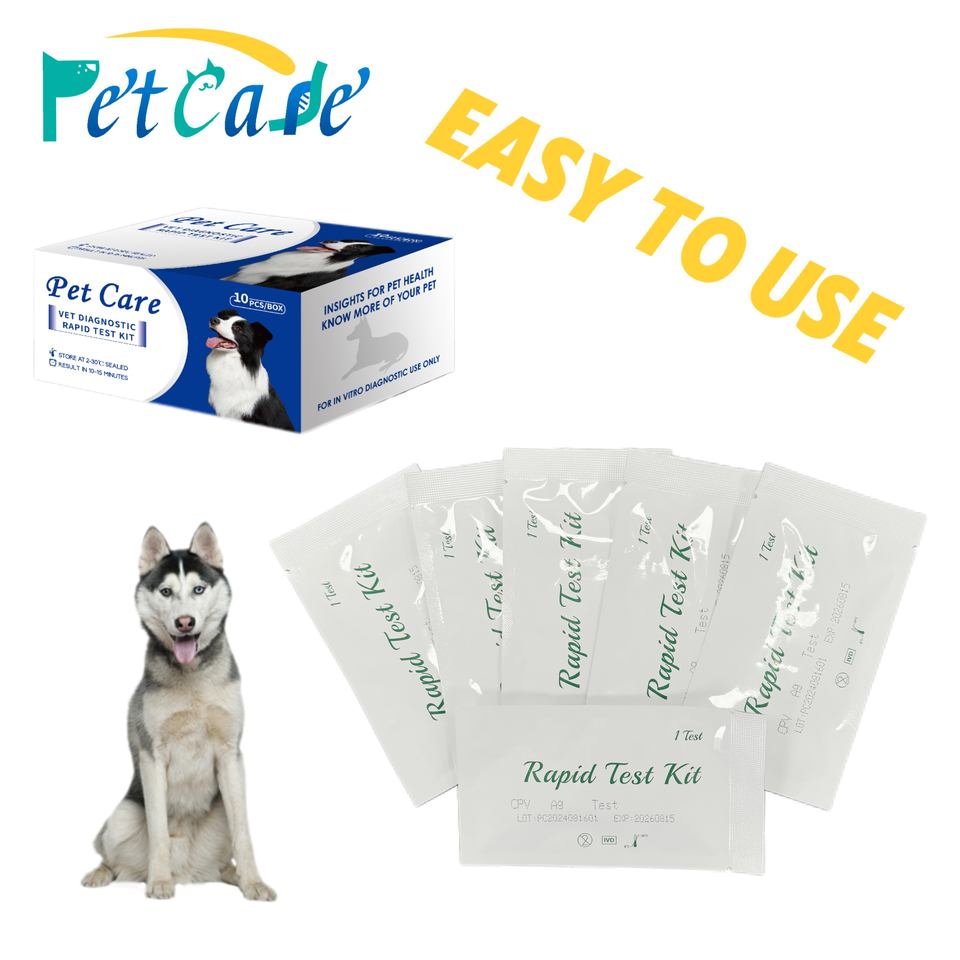 H Pylori Test Kits for Human-Stomach Ulcer Gastric Helicobacter Pylori ...