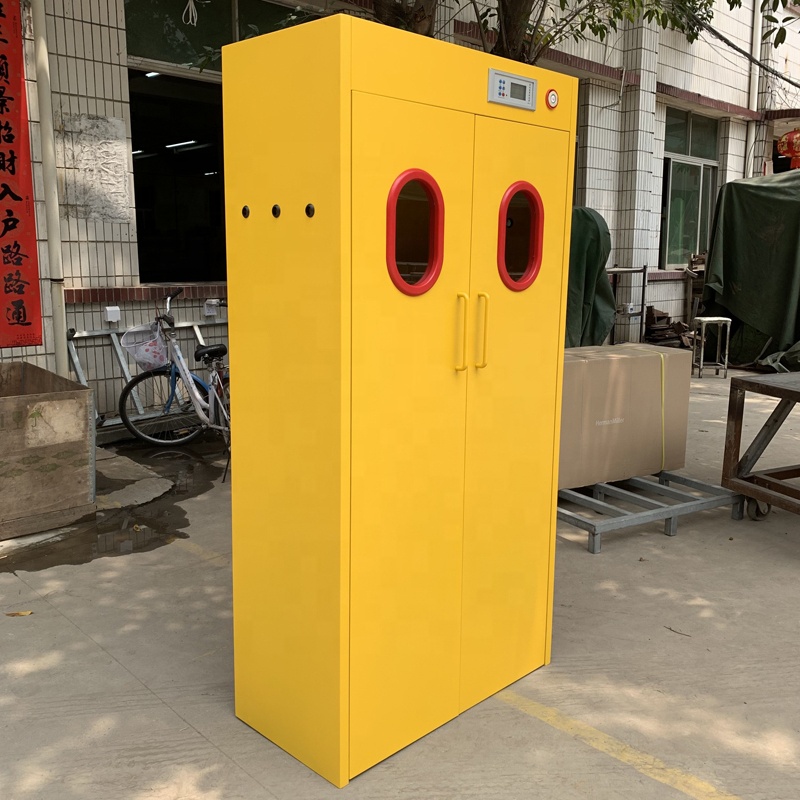 Laboratory Gas Cylinder Storage Cabinets for Safety