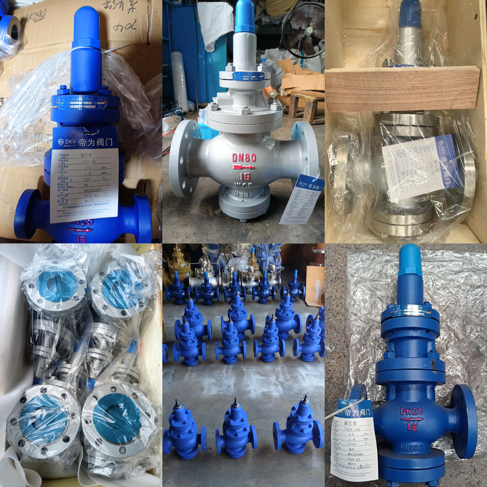 DKV Y43H Steam Pressure Reducing Valve - Cast Steel PN16