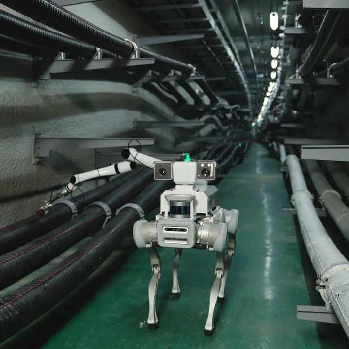 AI Visual Recognition Functions Through Programming Based on Raspberry ...