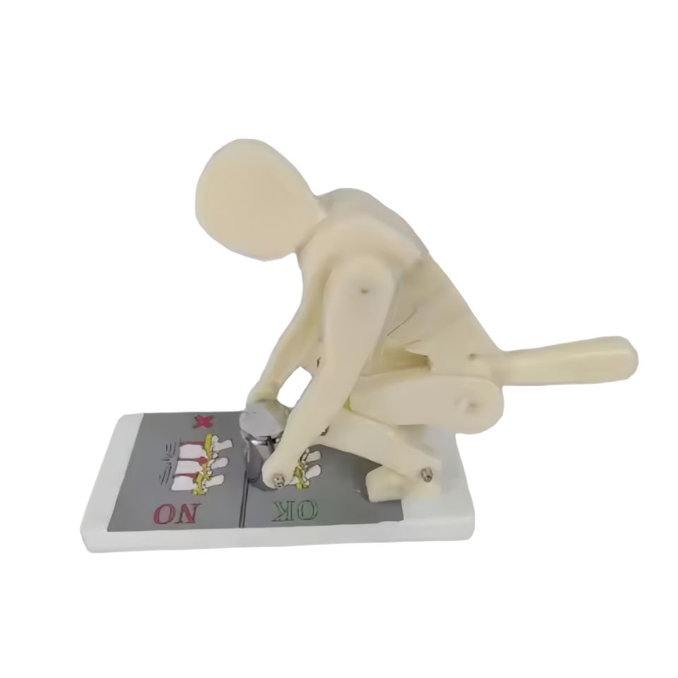 Demonstration Manikin Model for Force Analysis on Spine and Lumbar ...