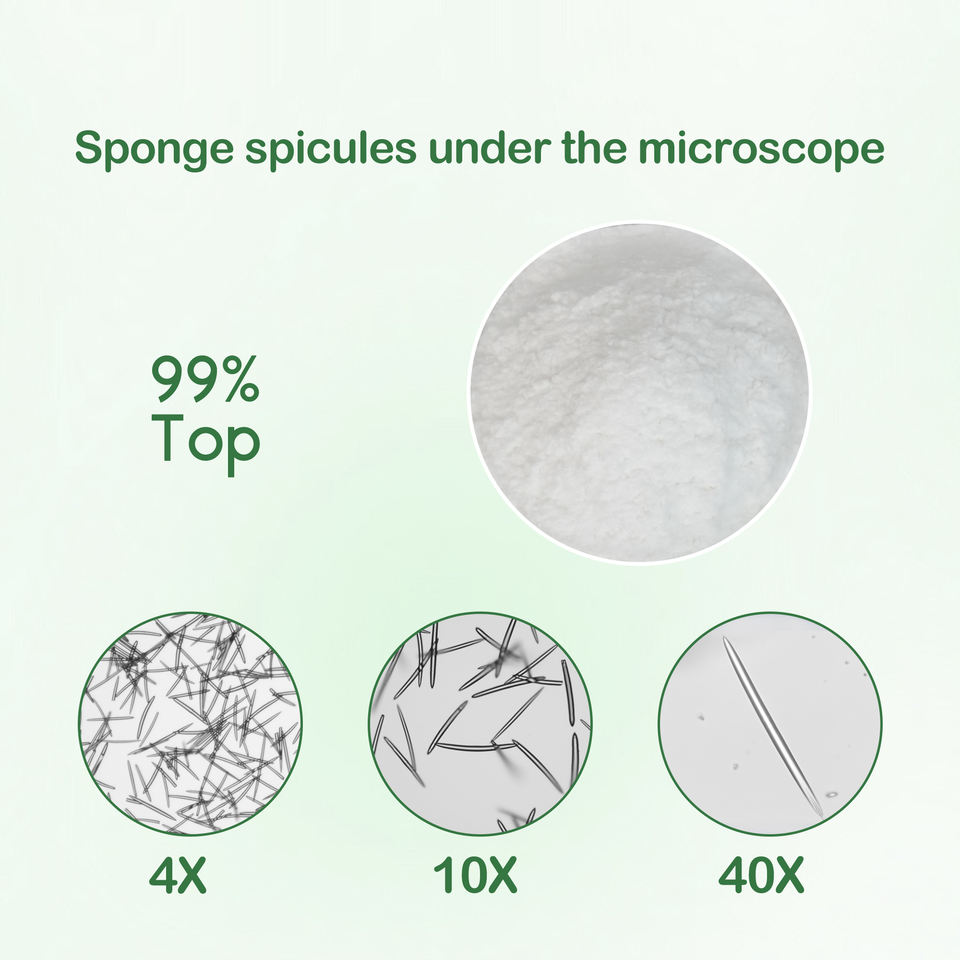 Fast Delivery Bio Microneedling Spicule Hydrolyzed Spongilla Powder ...