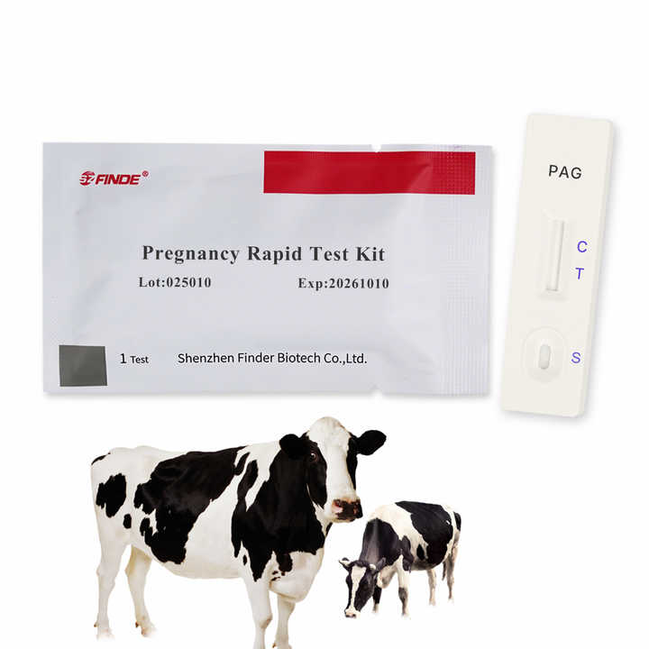 Bovine Cattle Cow Pregnancy test Kit Strip Paper for Cattle Cow Early ...