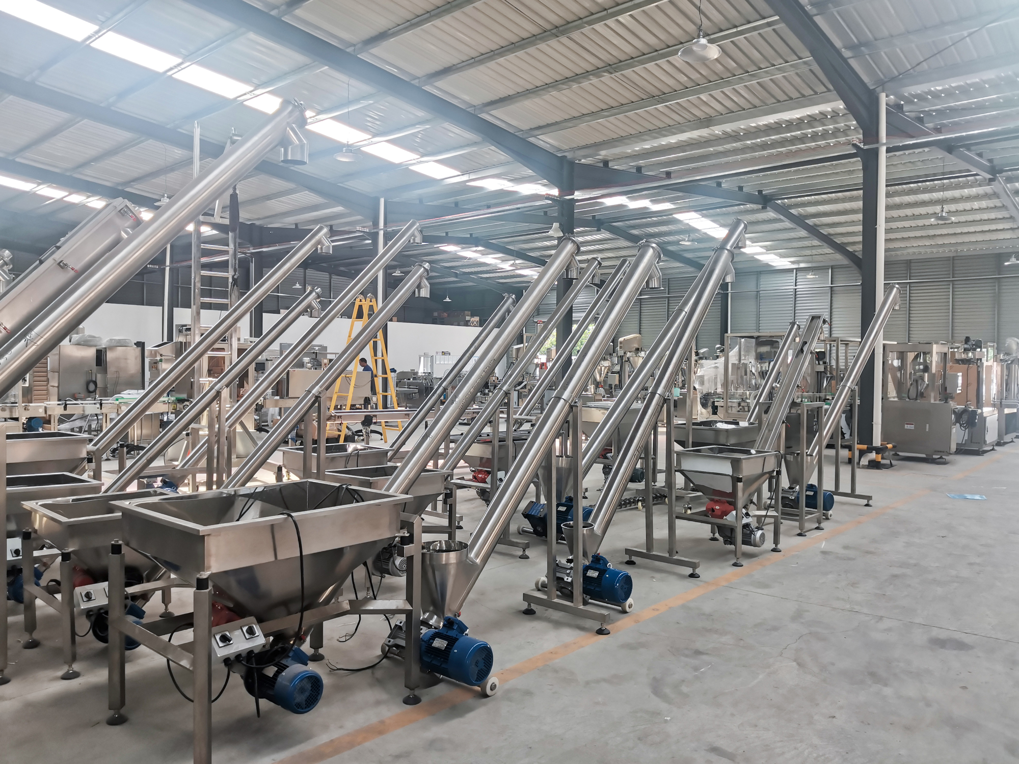 China Whey Black Protein Supplement Powder Filling Machine ...