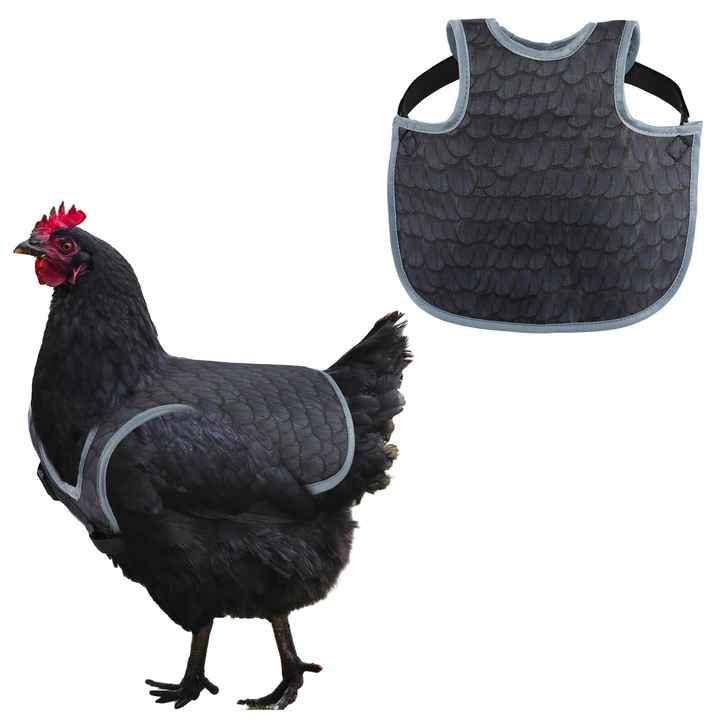 Home Waterproof Chicken Saddle and Back Feather Protector Hens Vest ...