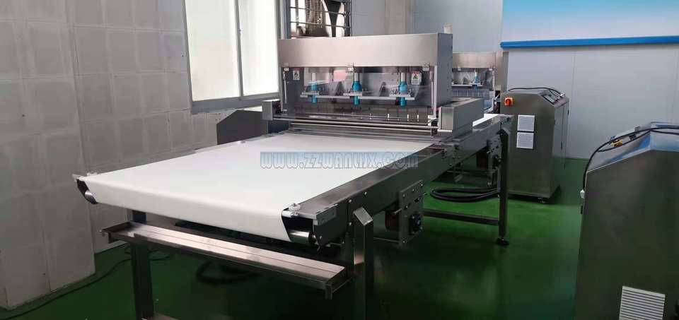 Wanlisonic Industrial Hot-Selling Fully Automatic Ultrasonic Stainless ...