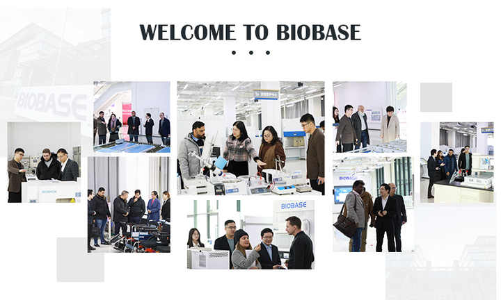 For BIOBASE BXTV Series Digital Inverted Biological Stereo Microscope ...