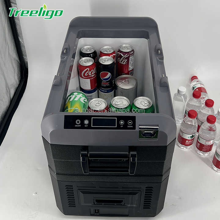 Portable Battery Car Refrigerator Cold Drink Mini Fridge Compressor 12v ...