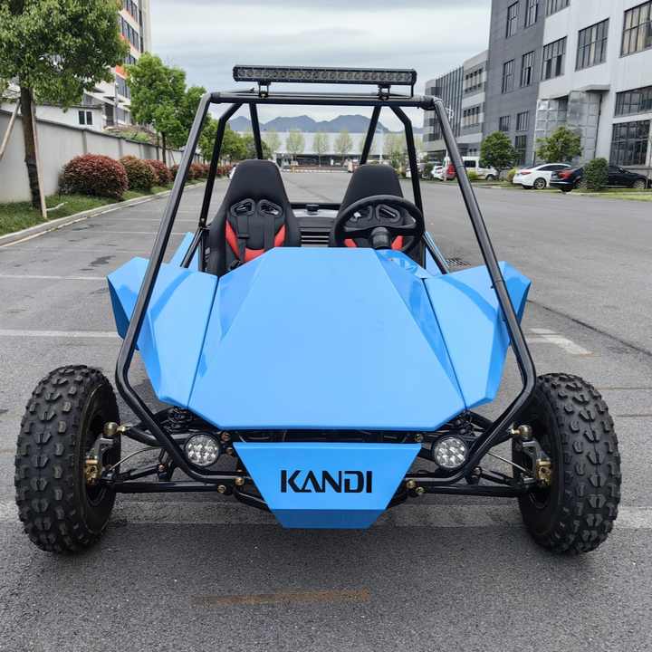 200cc Go Kart with 15L Big Oil tank for Adults Racing Go Kart Gas Power ...