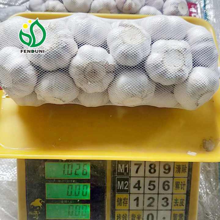 Fresh Organic Garlic 10kg Bag - Red/White Varieties from Jinxiang ...