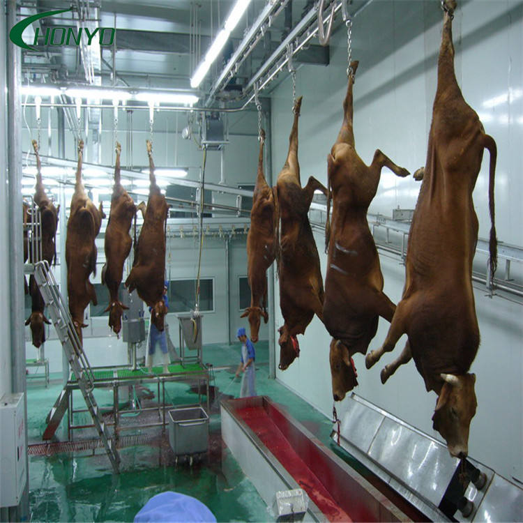 One-stop Solution Cattle Slaughter Plant Full Set Cow Abattoir ...