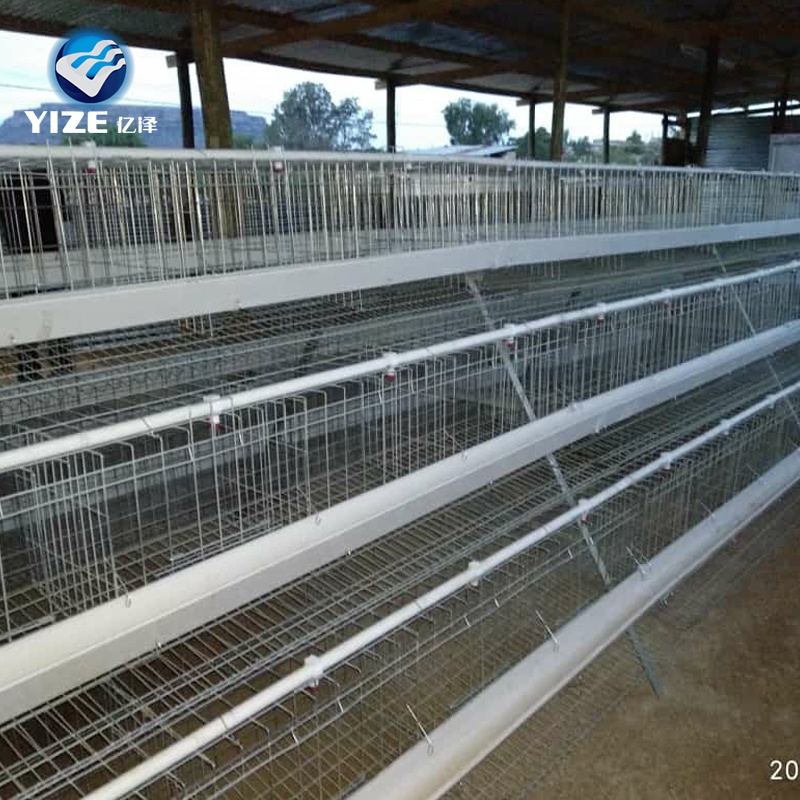 Durable and Efficient poultry cage pakistan price for Optimal Animal ...